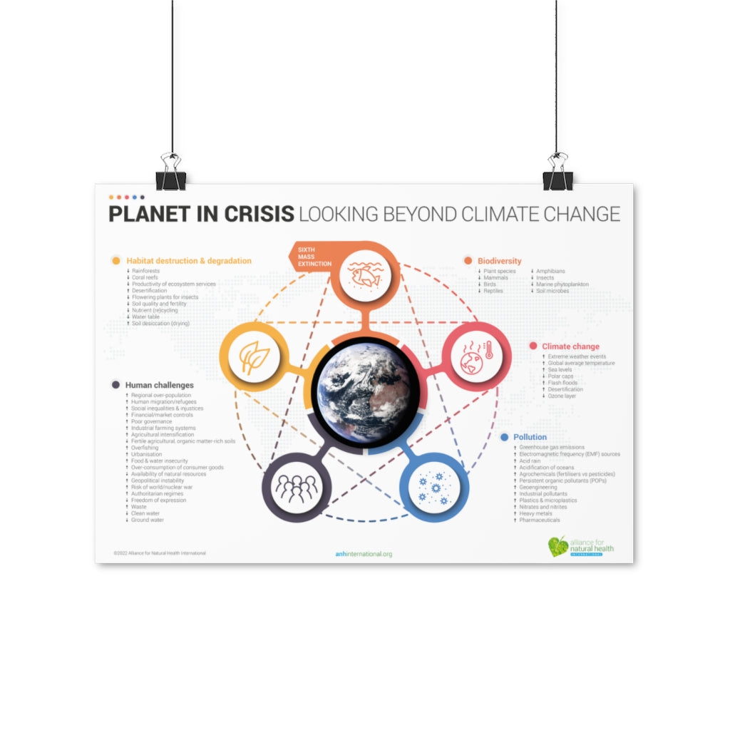 Poster - Planet in Crisis (A2 size) – ANH International